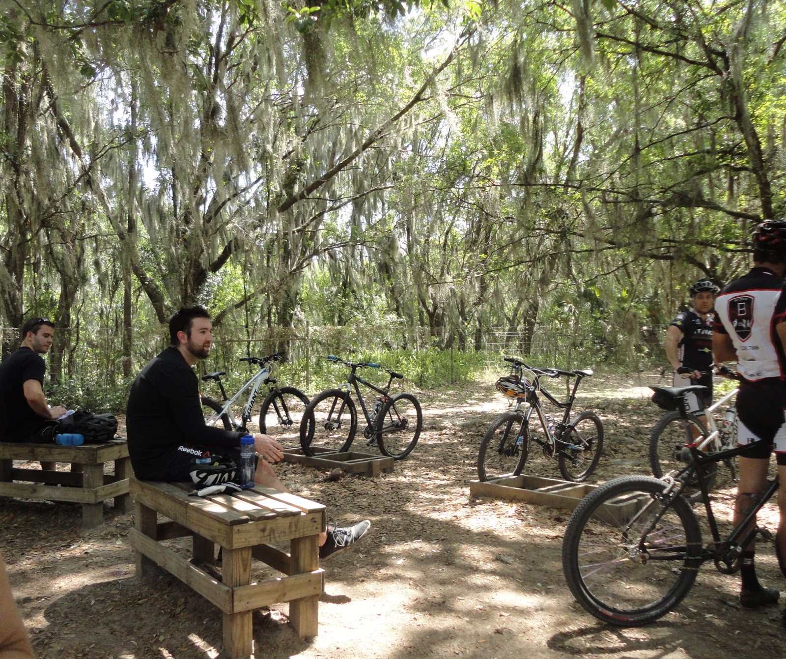 Introduction to Balm-Boyette Nature Preserve