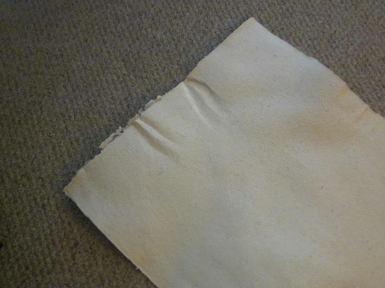 Mary C. Leto - Moon Tide Paper Studio