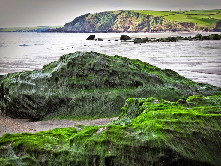 67 Not Out: Glimpses Of Cornwall