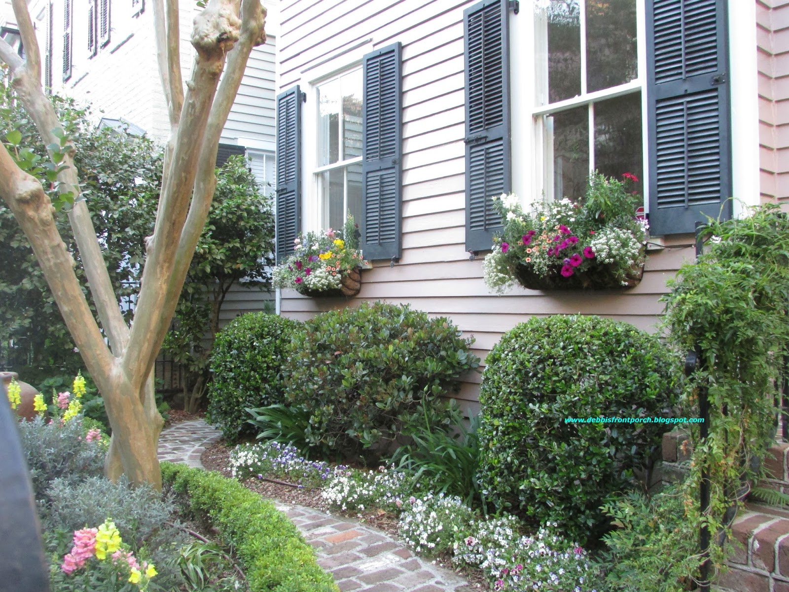 Debbi's Front Porch: City Yard
