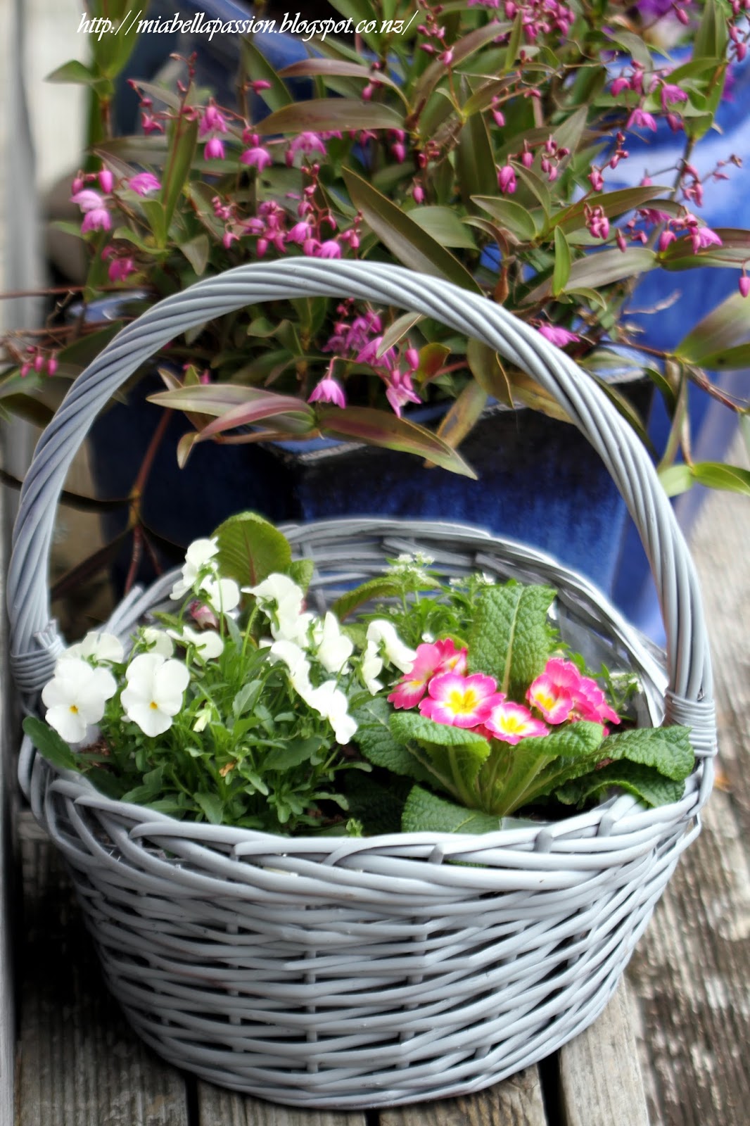 Spring Flower Basket...