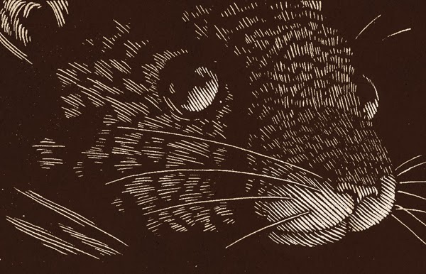 David Petersen's Blog: Spotlight on Legends of the Guard contributor ...