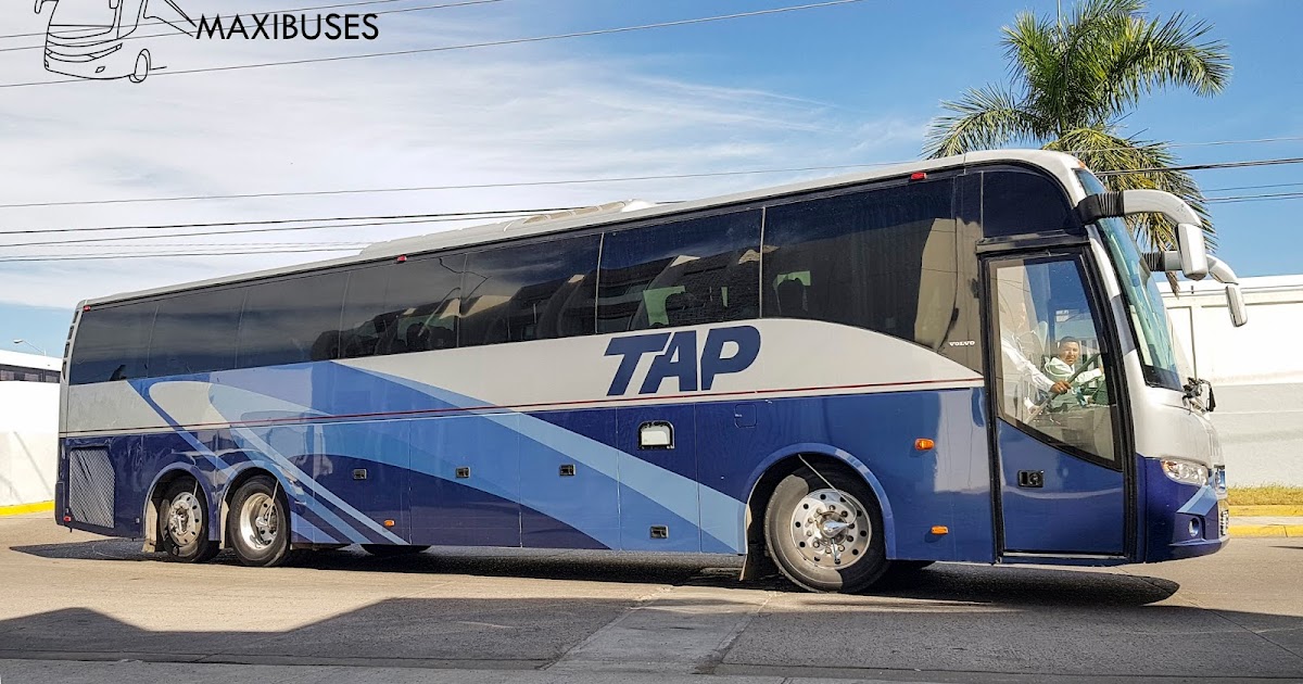 MAXIBUSES: TRANSPORTES Y AUTOBUSES DEL PACÍFICO (TAP)