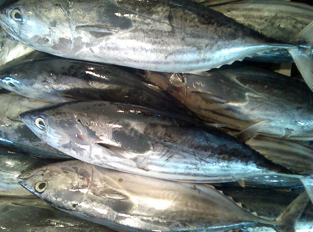 Sual Pangasinan: Products