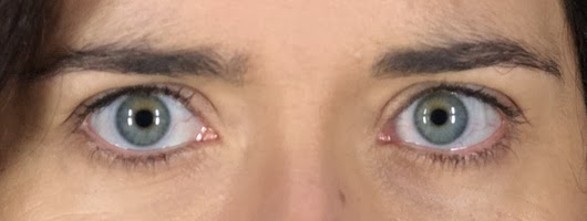 Portuguese Phenotype: Eye Pigmentation in Portugal