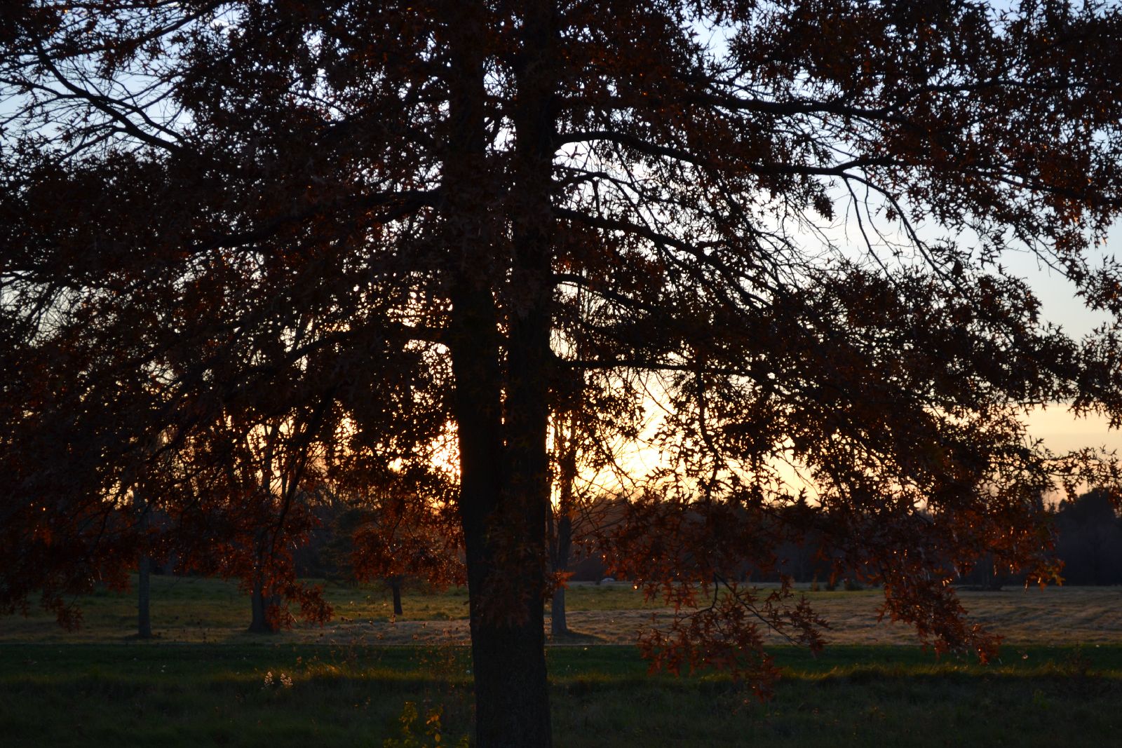 Ottawa 9 (Rockcliffe Park)