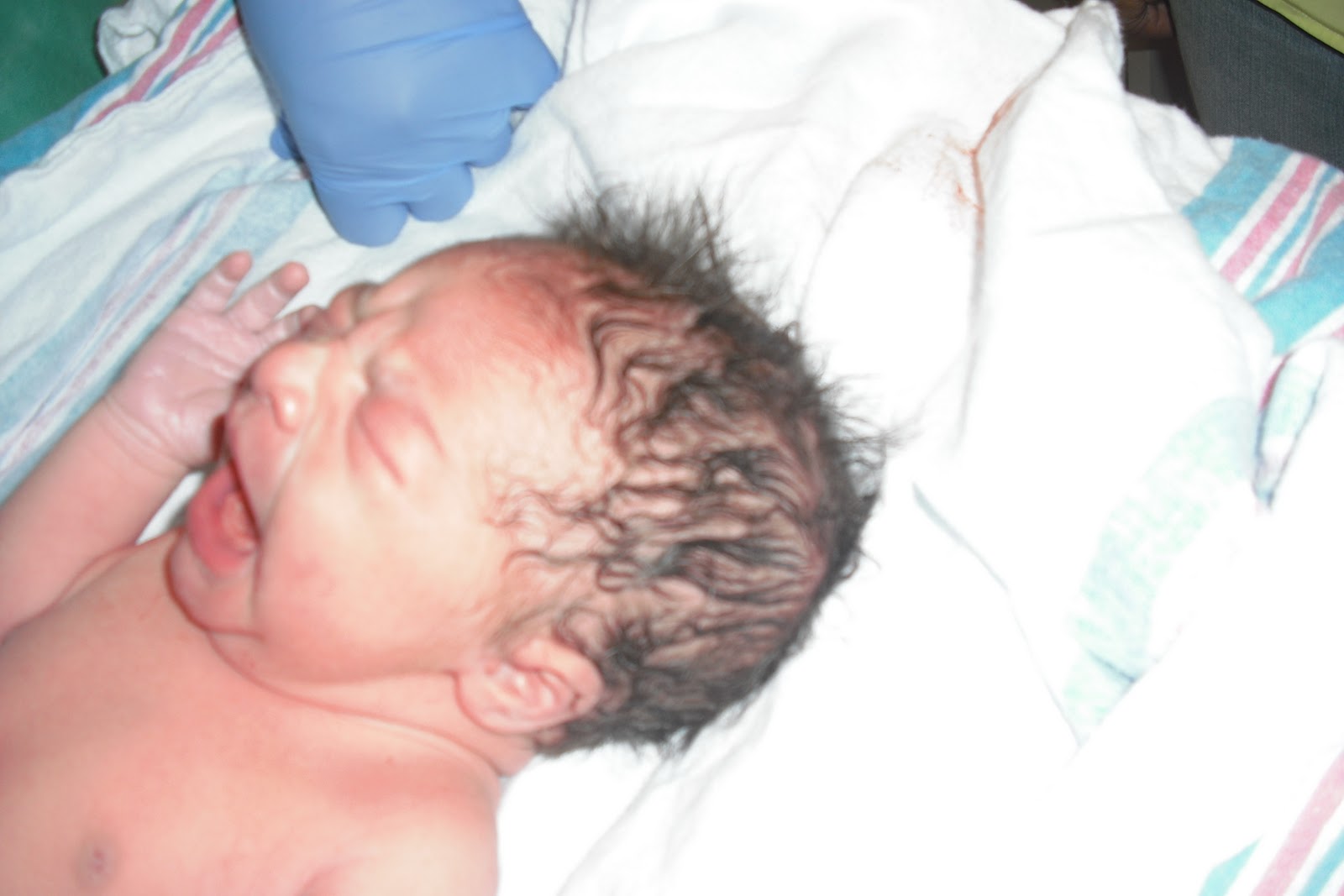 The Krishnans: Juliet Isabel Sullivan