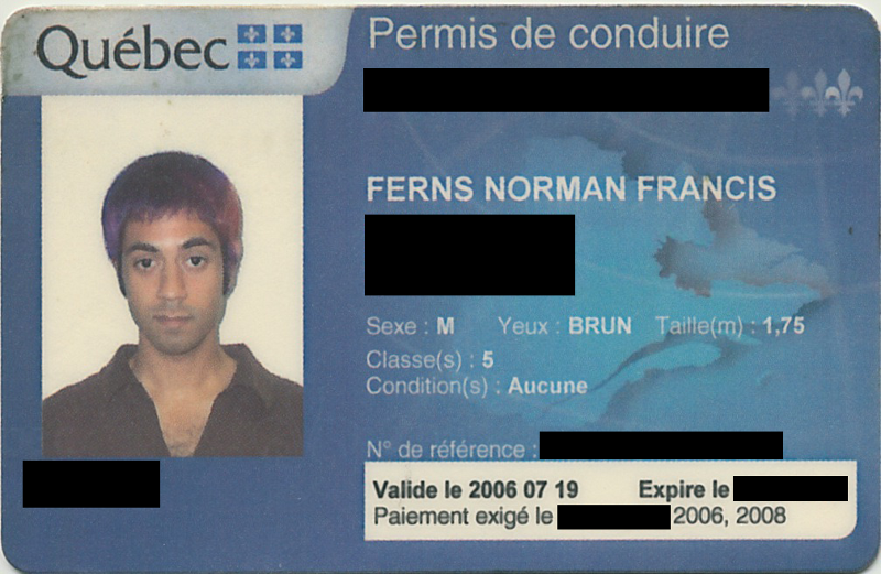 The Amazing Norman: License to Drive