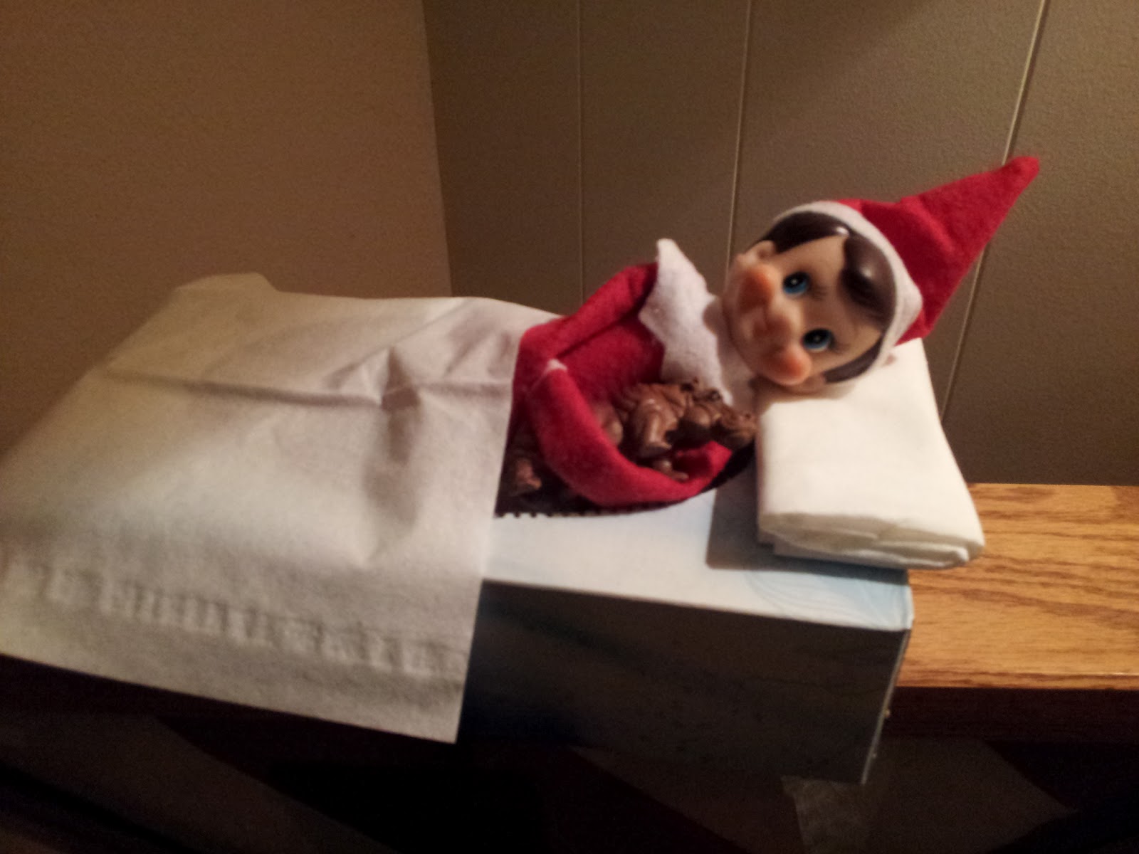 Little patch of clover