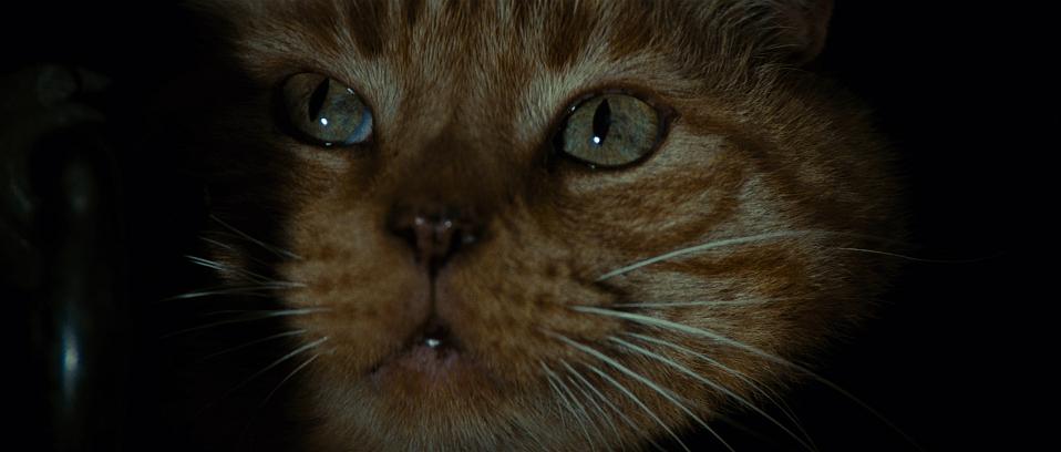 The Bloody Pit of Horror: Alien (1979)