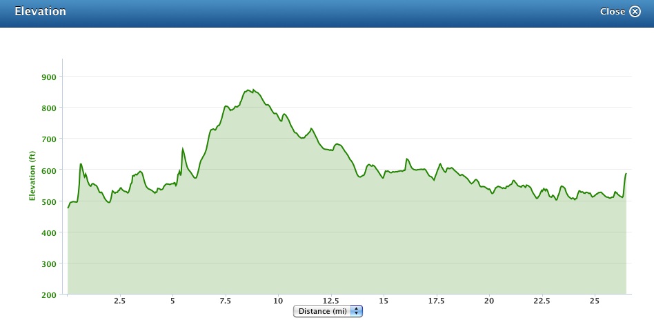 DETROIT RUNNER....: Flying Pig Marathon Race Review