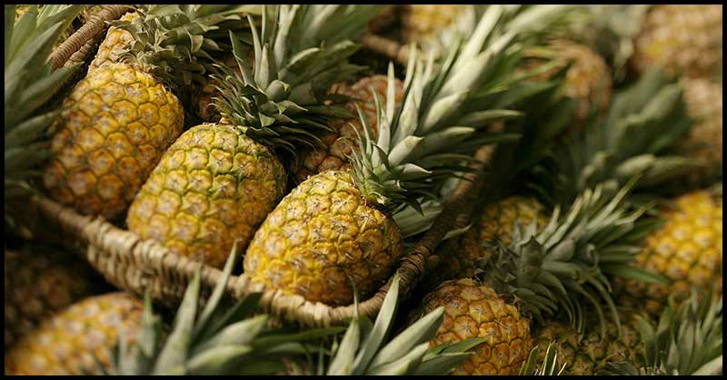 Can Pineapples Alleviate Headache Pain? | Dr Farrah MD Can Pineapples Alleviate Headache Pain? | Dr Farrah MD