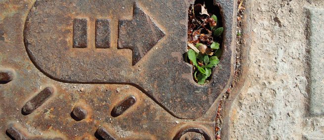 2014 - Autóctonos - Indígenas (Residencia CACIS) | Miriam Martínez Guirao