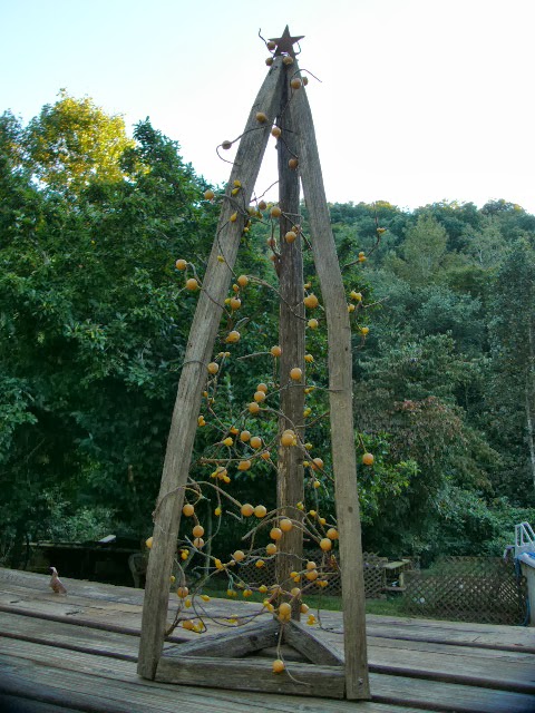Salt Lick Shop: Primitive Tobacco Stick Grapevine Tree