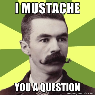 I Moustache You a Question ~ The Stylista