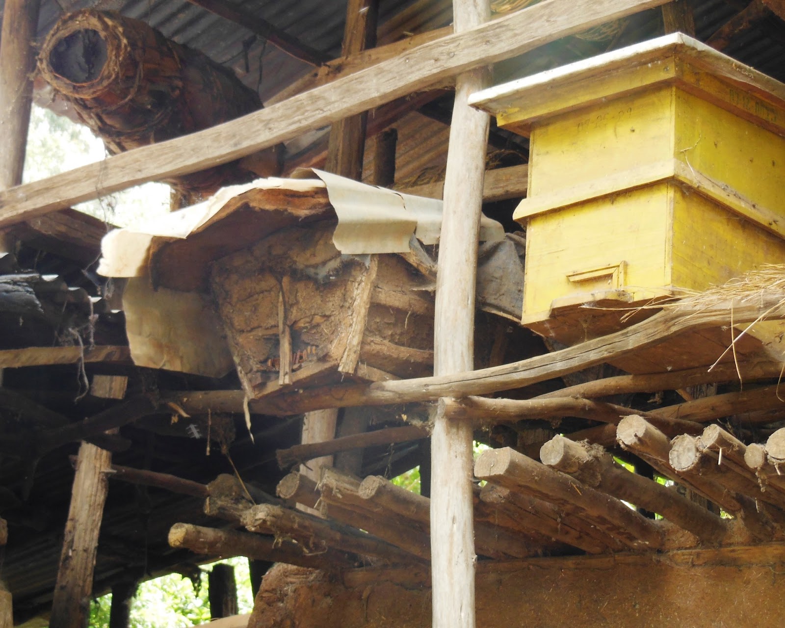 The Peace Bee Farmer: A Dry Bee Hive
