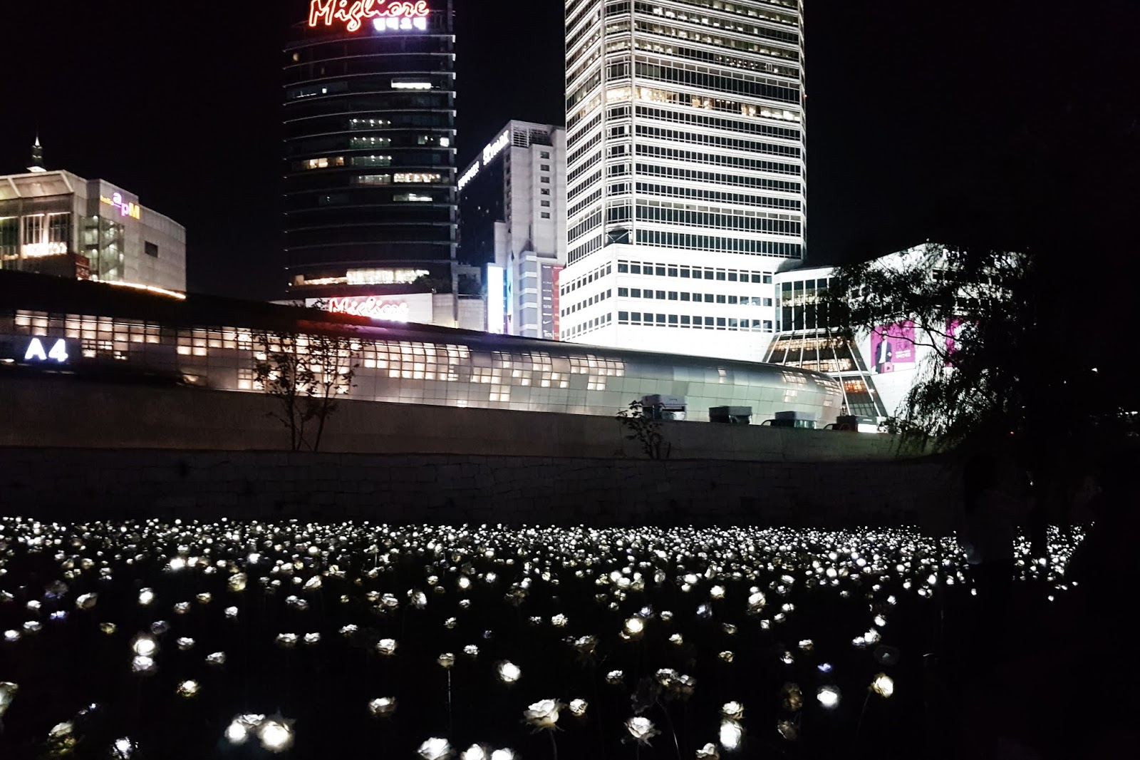 Dongdaemun Design Plaza (동대문디자인플라자) & DDP LED Rose Garden