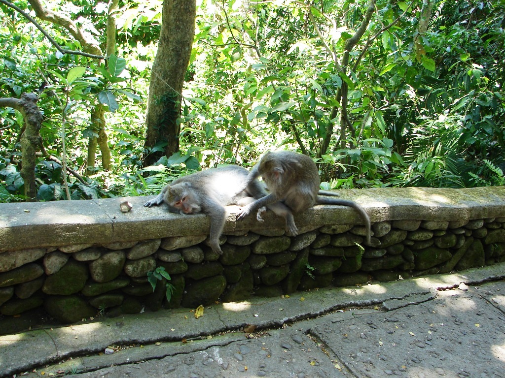 ABC...prin viata: Bali - episodul 5