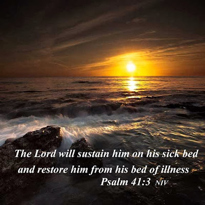 PSALMS (41)
