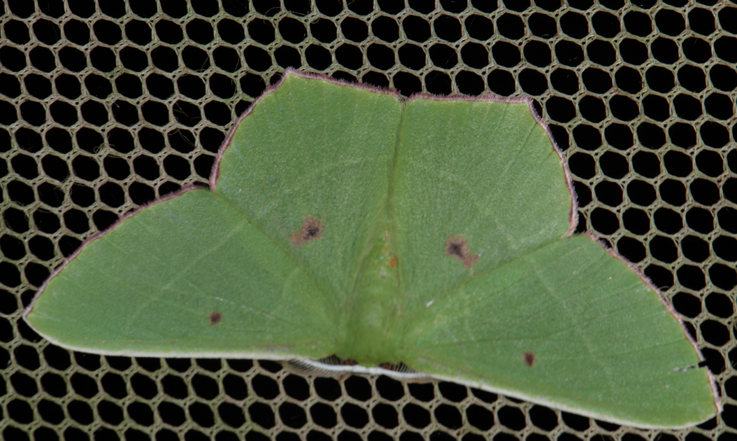 BunyipCo: September 2012