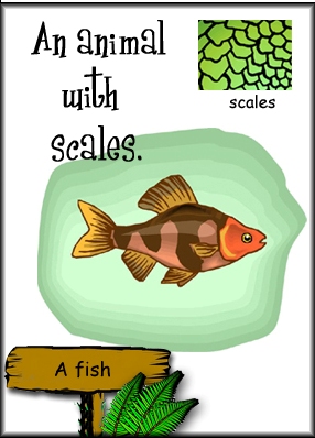 English Language Year 3: Animal Body Parts