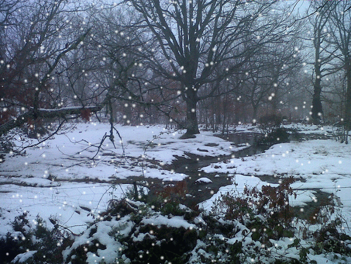 Mis Cuentos: EN PARÍS NEVABA