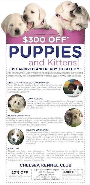 Driving Serious Newspaper Ad Sales: Proving their puppies will find a home