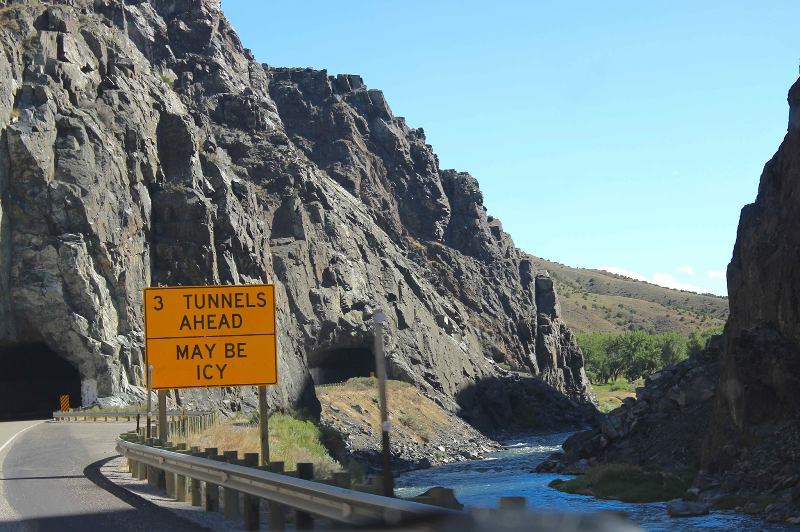 In the Company of Plants and Rocks: Time Travel Gets Complicated