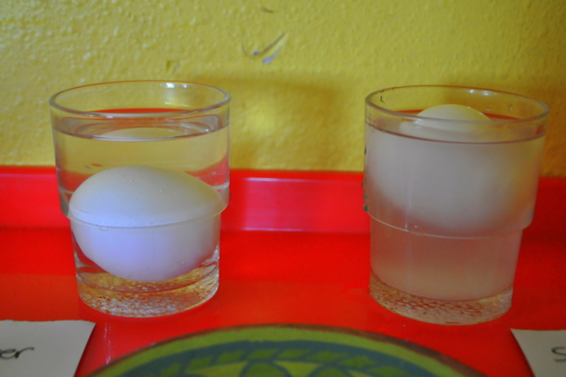 A Jewish Homeschool Blog: Noach Activity Pack and some more activities...