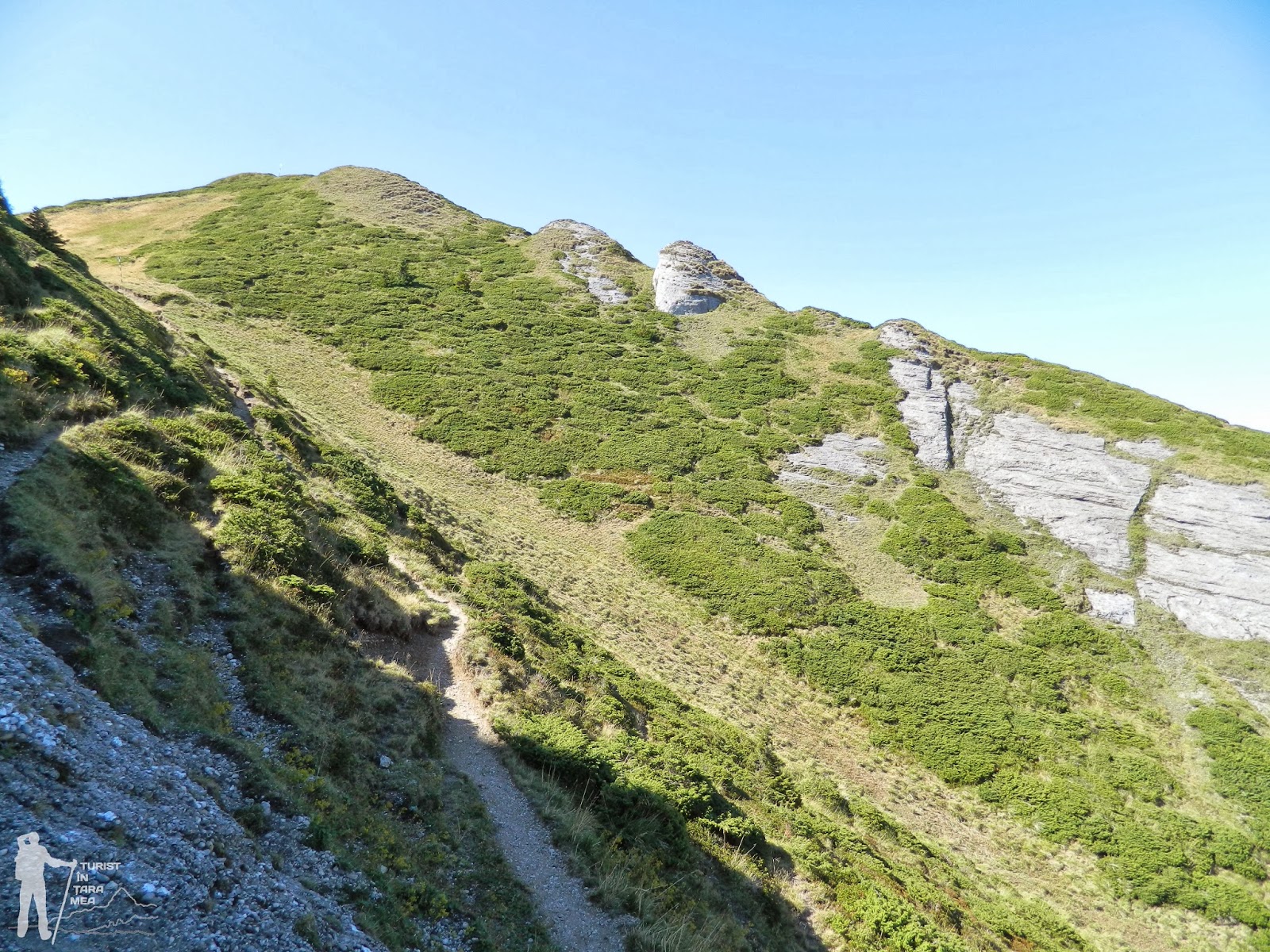 Vârful Ciucaș - 1954 metri
