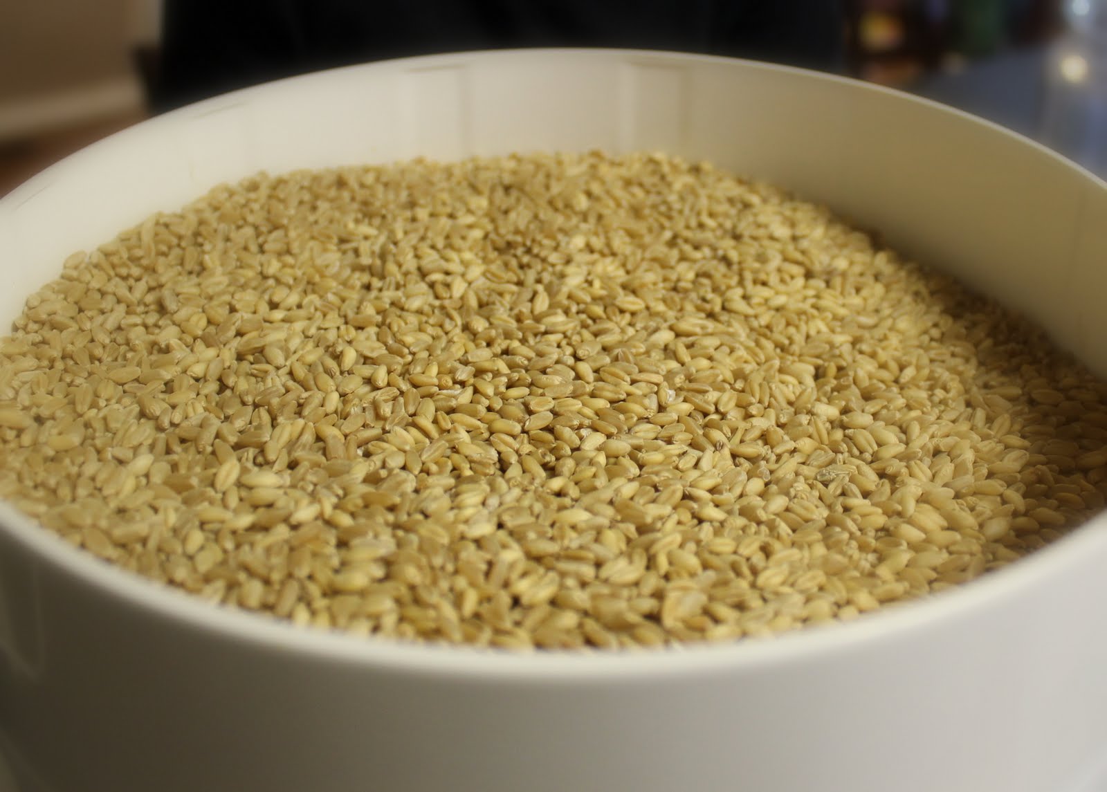 Homestead Roots: NutriMill Wheat Mill for fresh ground wheat at home