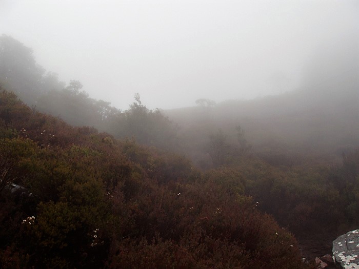 Goin' Feral One Day At A Time: Claude Road to Mount Roland, Mount ...