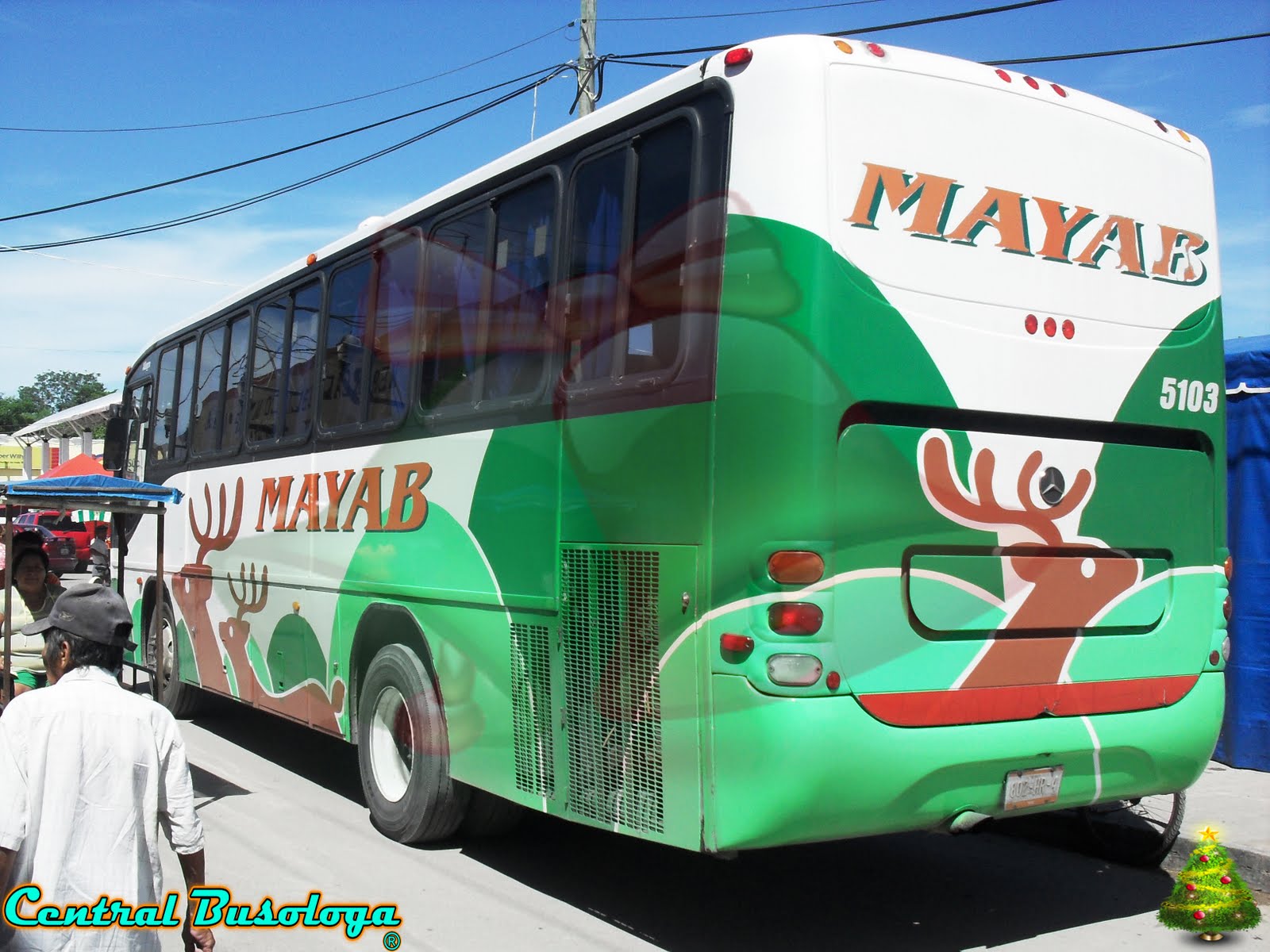 o.OCentral BusologaO.o°•: Autobuses Del Mayab.