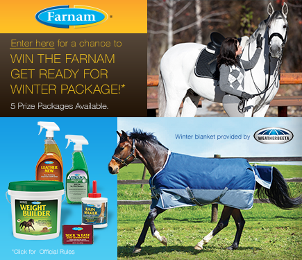 SERIOUSLY HORSING AROUND