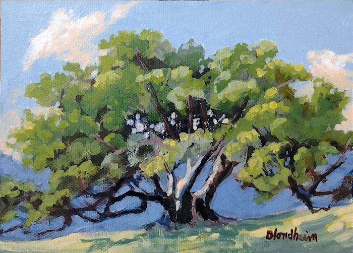 Tree Painter: Another classroom demonstration