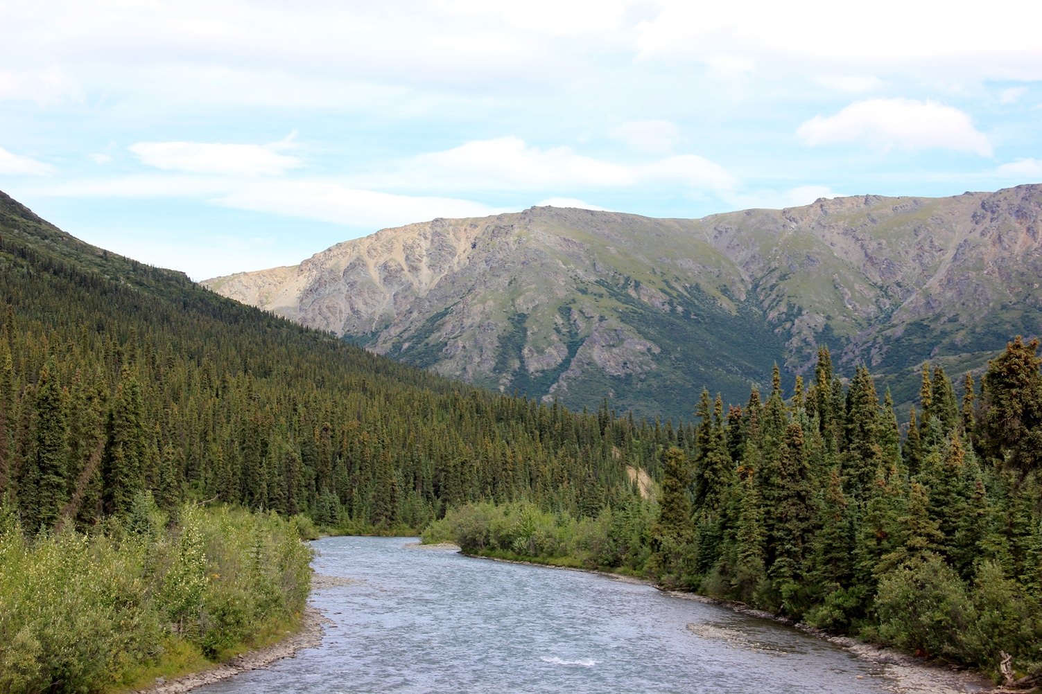 Joy of Discovery: Toklat, Denali National Park