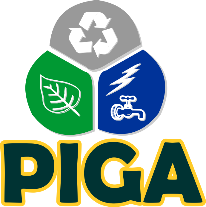 pasos para elavorar el piga ~ evaluación de impacto ambiental