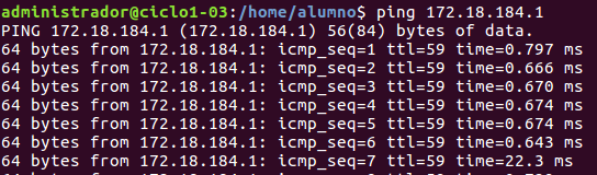 Comando Ping (Linux)