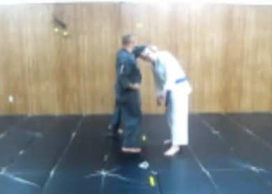 Low "blocks" against kicks - are they ridiculous?