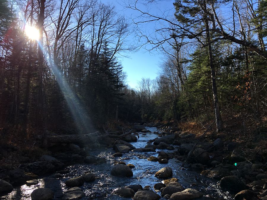 Hiking in the White Mountains: Back Door Kitty . . . Wildcat A - D Peaks