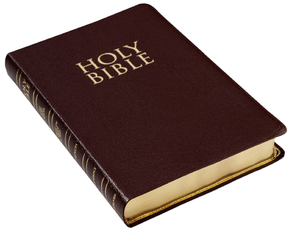 Origins of the Bible | Get Back To The Word