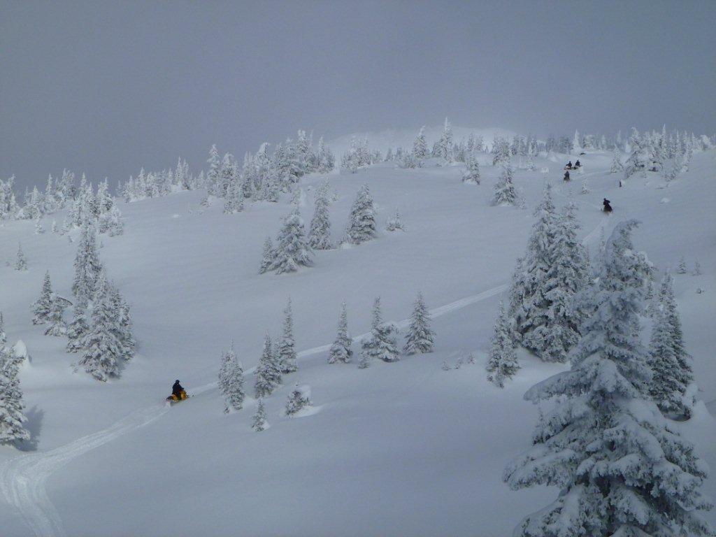 Interlakes Snowmobile Club: Big Timothy Mountain - Feb 20th