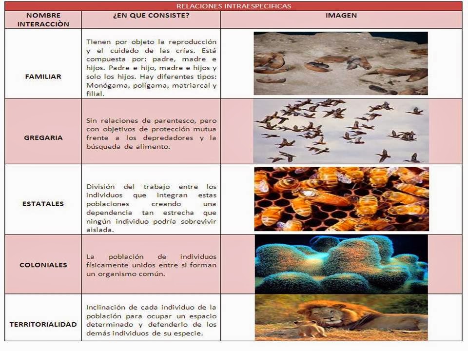 Biología Ambiental Unad Trabajo Colaborativo Dos: Relaciones Inter e ...