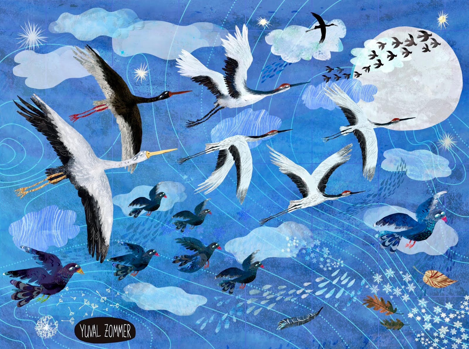 Let's Talk Picture Books: Let's Talk Illustrators #144: Yuval Zommer