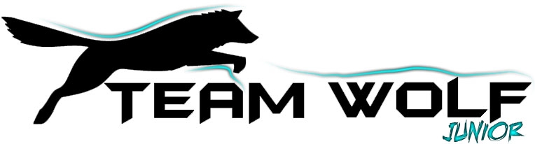 Team Wolf F1: Historia - Institucional