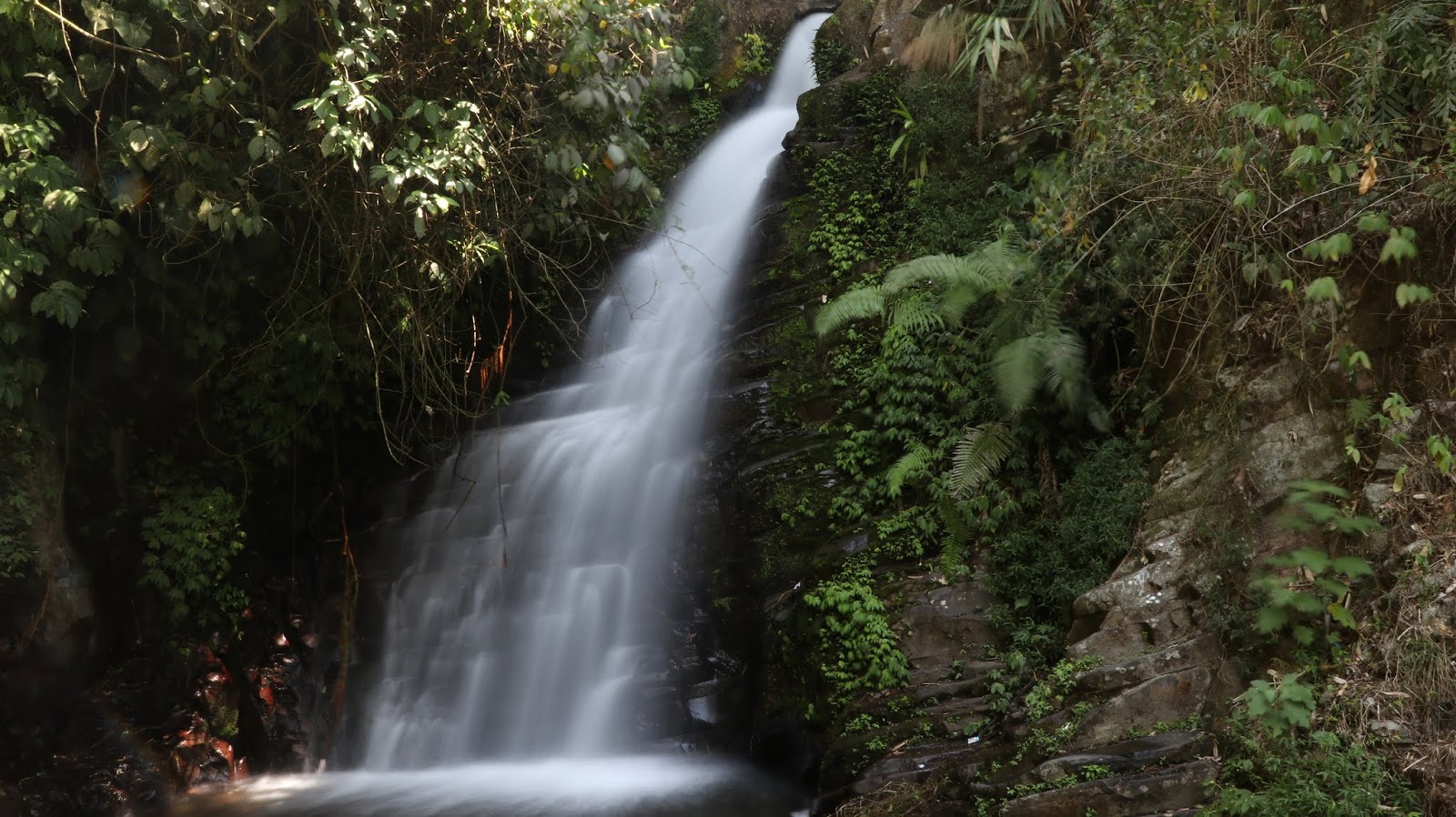 Mengunjungi Wana Wisata Capolaga: Curug Goa Gajah, Curug Sawer dan ...