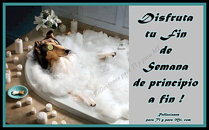 Buenos Deseos para TI y para MÍ: * Disfruta tu Fin de Semana de ...
