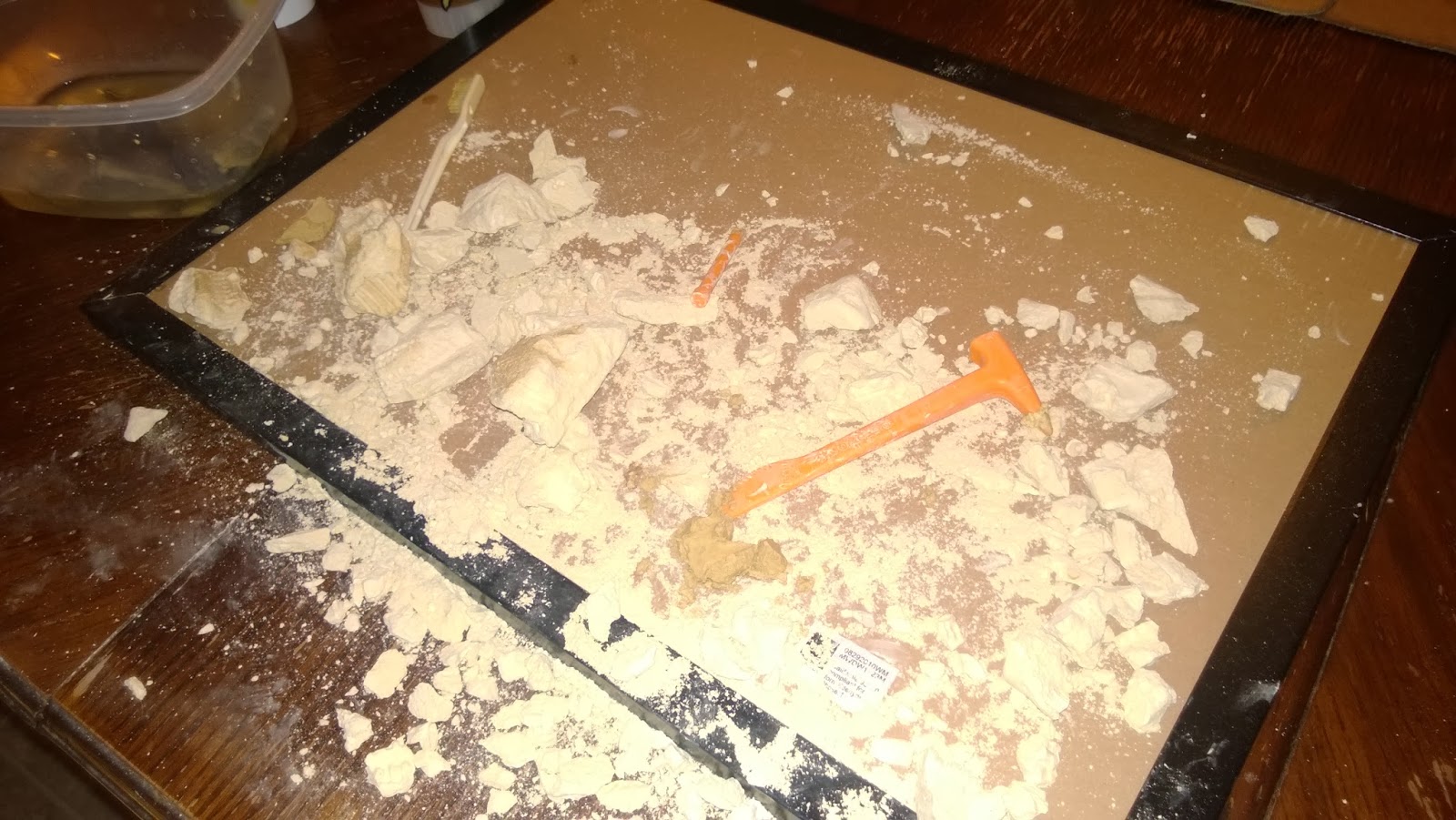 Digging for Dinosaurs