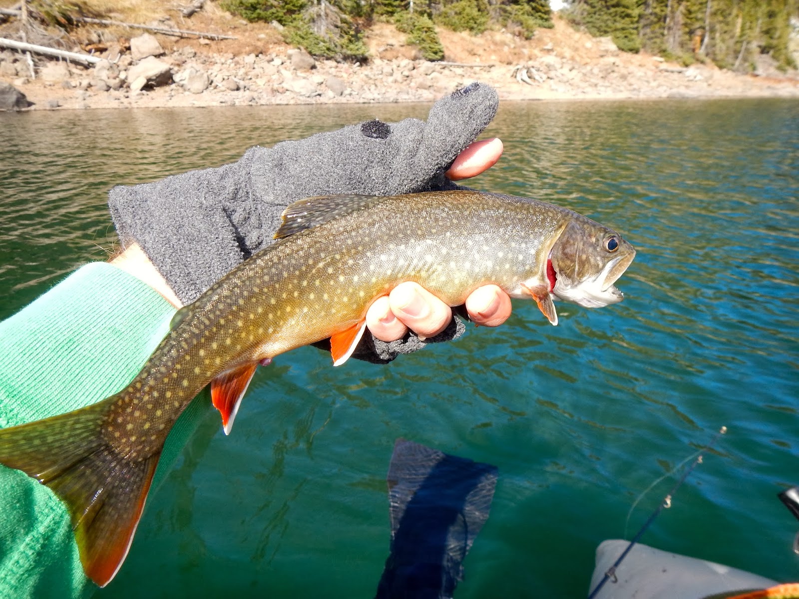 Troutings: Island Lake