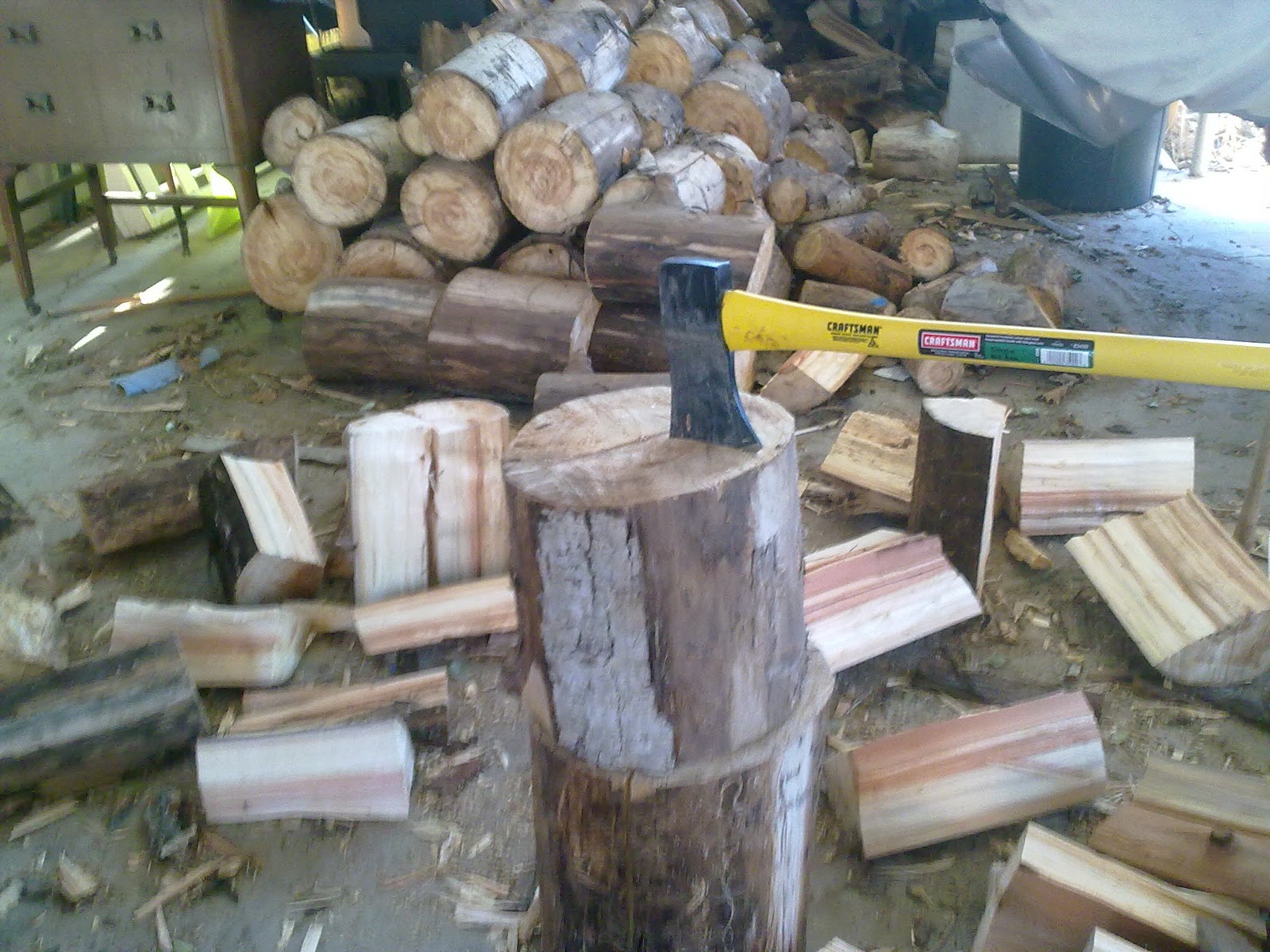 The Daily Man Show: The lumberjack diet